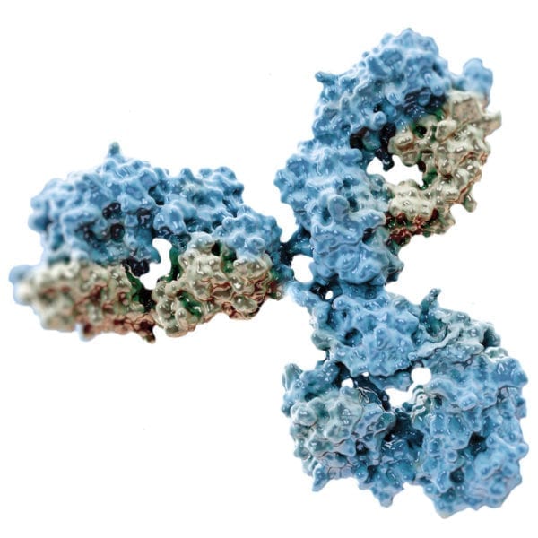 AffinityImmuno - Quality Biologicals for All